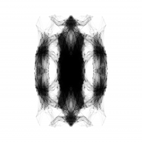 Rorschach.generator - OpenProcessing