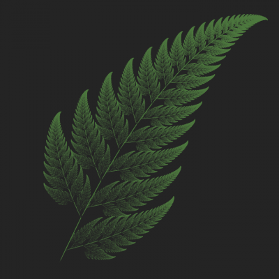 Barnsley Fern - OpenProcessing